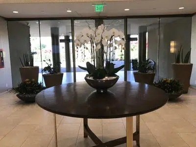 Commercial & Office Plant Services | So California | Inside Plants