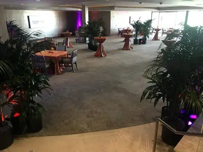 Interior Plants for Special Events | Inside Plants