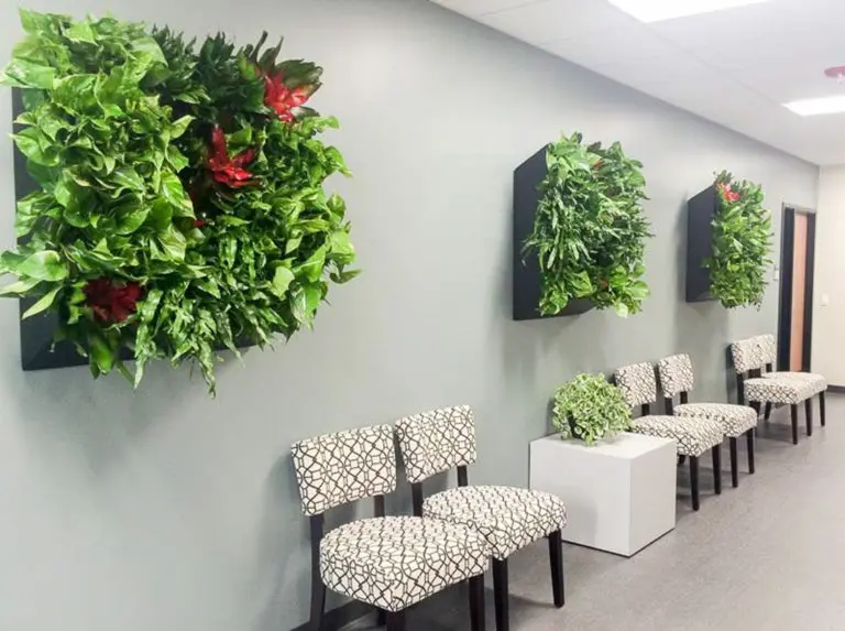 Temecula Indoor Plant Service | Inside Plants